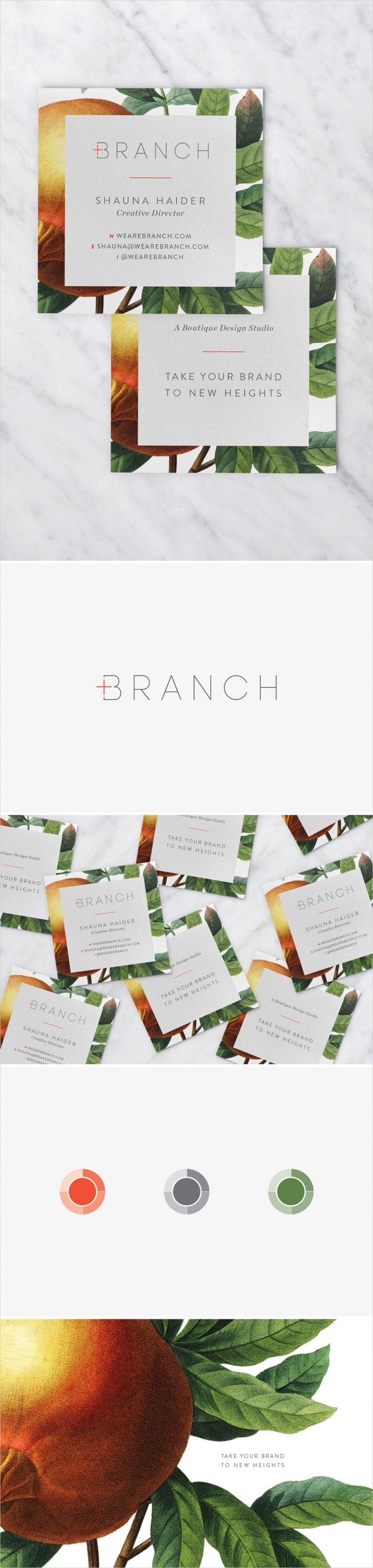 Studio Life: Branch Brand Refresh
